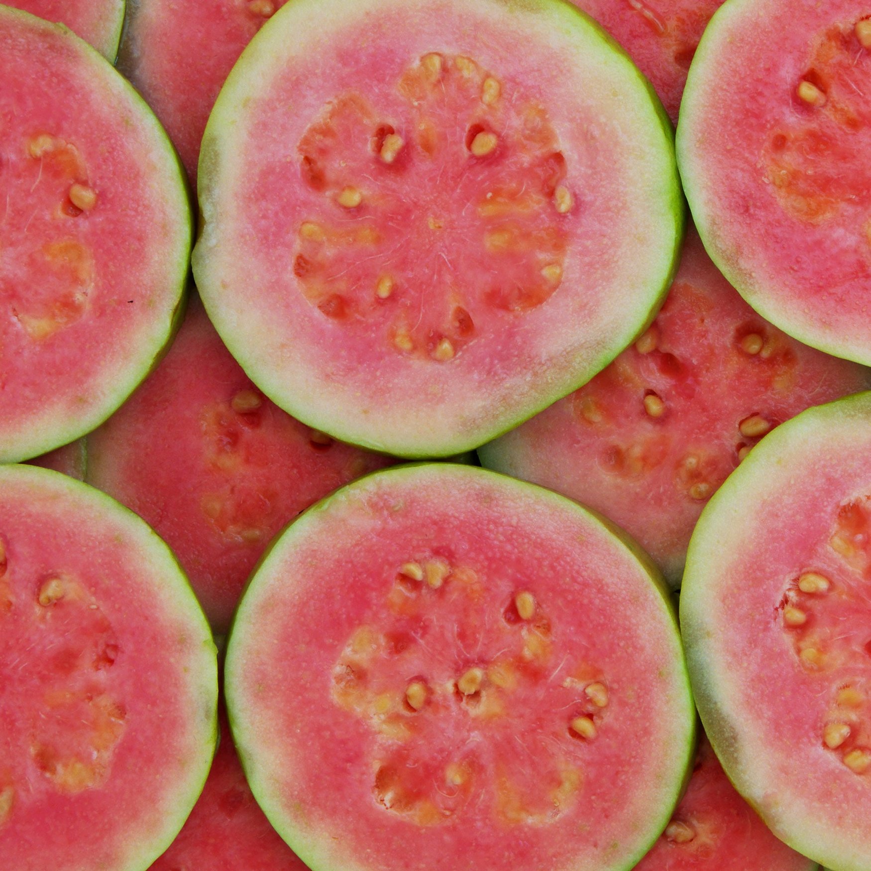 BLACK GUAVA香水由Borntostandout制作 - Wikiparfum